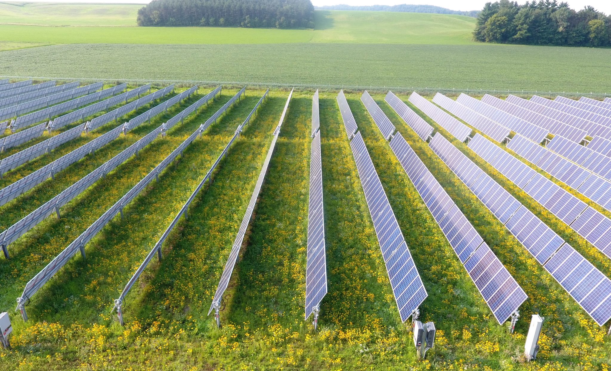 Michigan embraces Pollinator-Friendly Solar - Fresh Energy