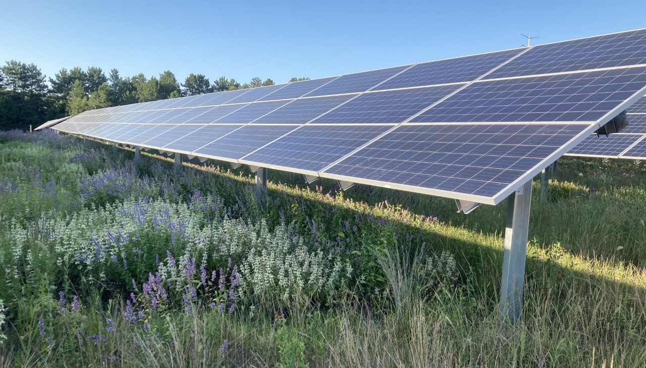 Case Study: 907 acres of pollinator-friendly solar - Fresh Energy