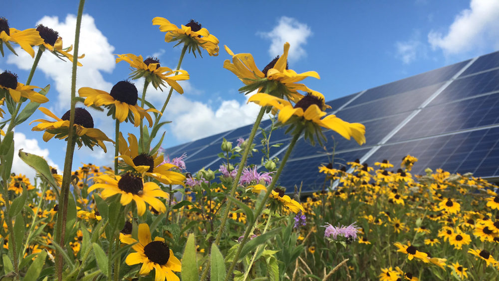 Connexus Energy 10 Year Resource Plan - Fresh Energy