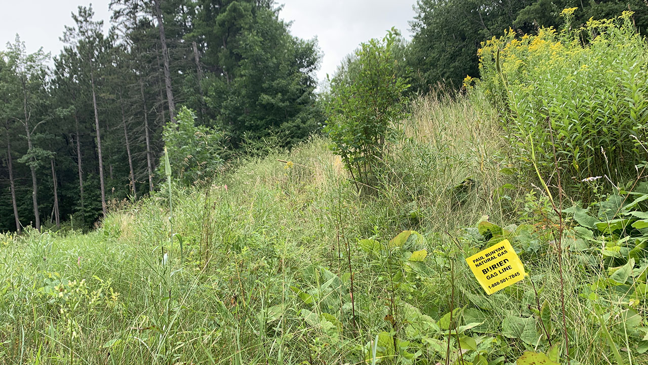 Future of Gas docket moves ahead - Fresh Energy