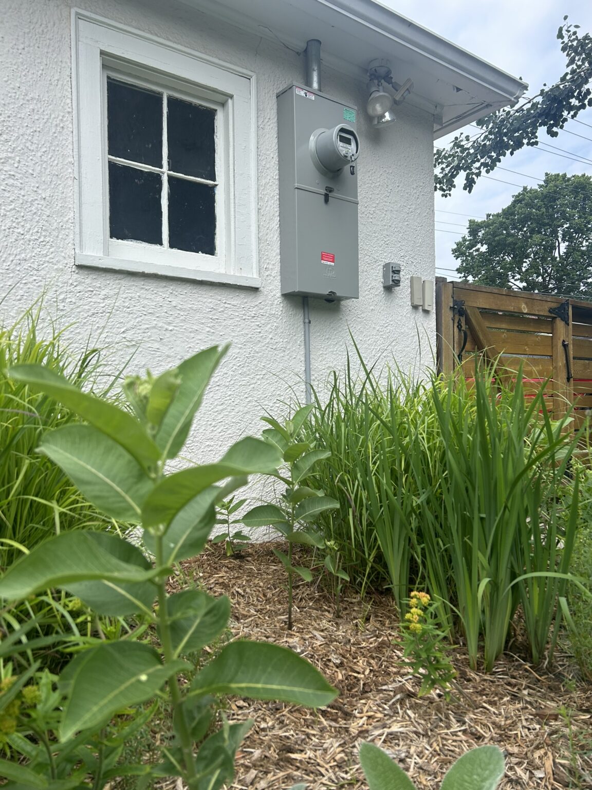 What’s up with time-of-use rates? - Fresh Energy