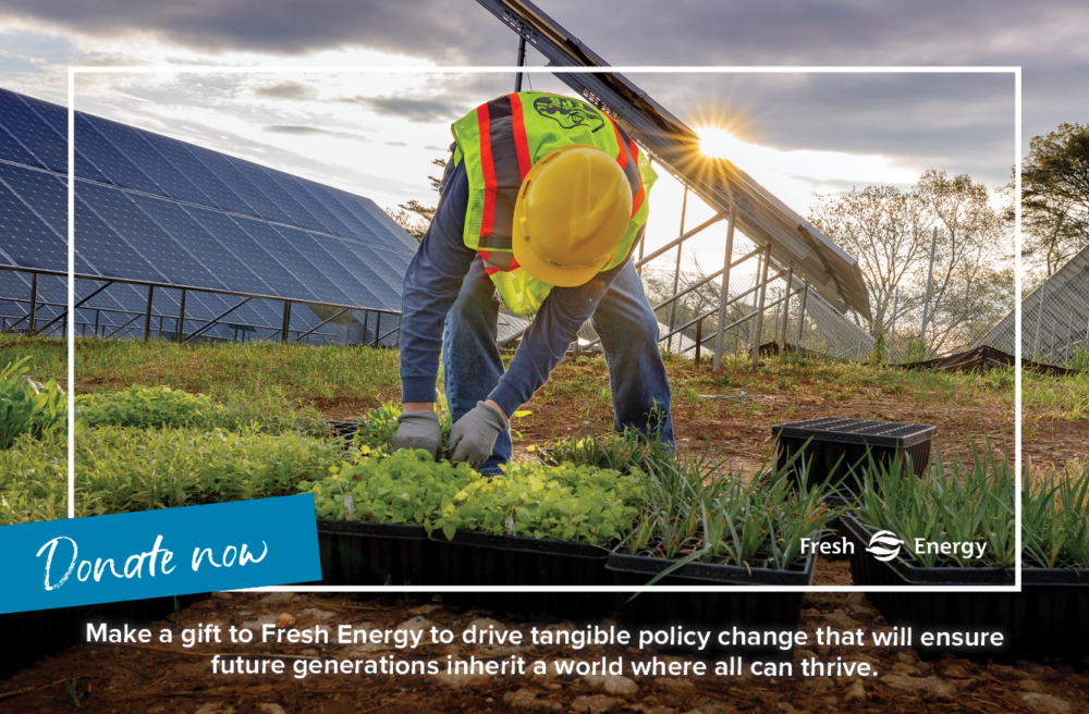 Contact Us - Fresh Energy